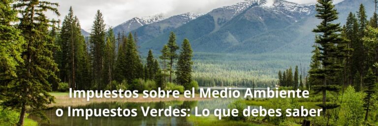 Guía completa del modelo 651 JCCM: Todo lo que necesitas saber ...